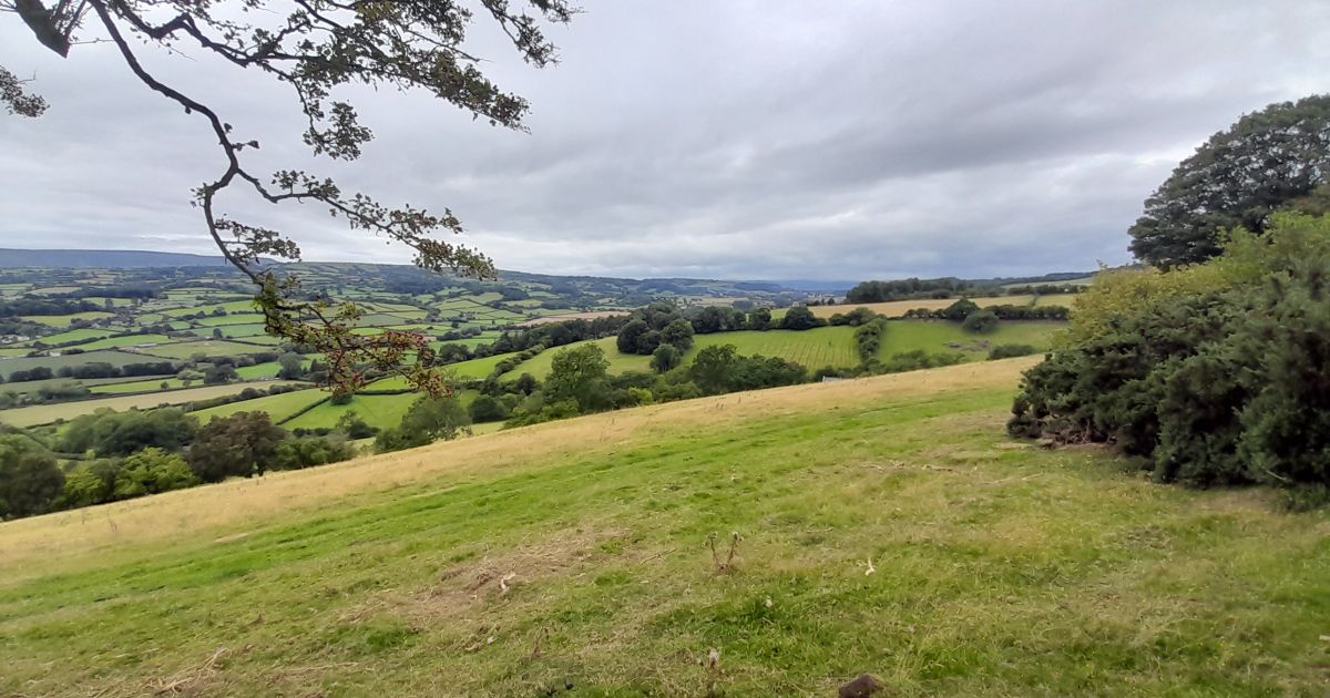 Peterchurch Easterly Circuit - Ramblers